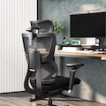 Professional Ergonomic Office Chair | Comfortable Chair C7M | Flexispot